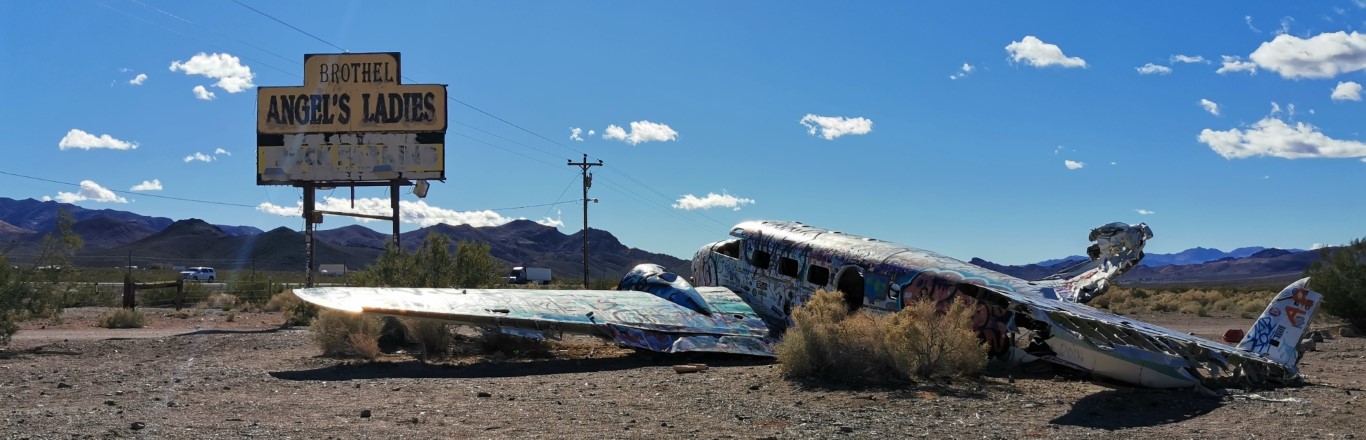 Angel's Ladies Brothel - Roadside Picnic